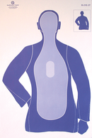 B-21 & B-21E Targets – Qualification Targets Inc