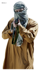 SEAL Targets & Overlays – Qualification Targets Inc