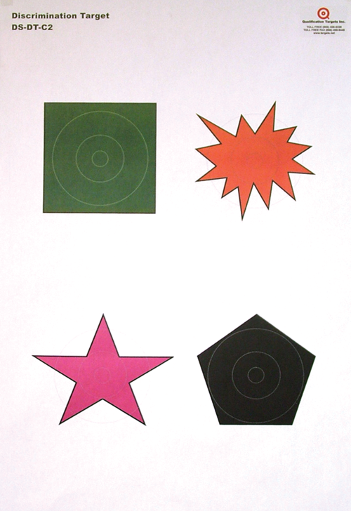 DS-DT-C2 Paper Target – Qualification Targets Inc