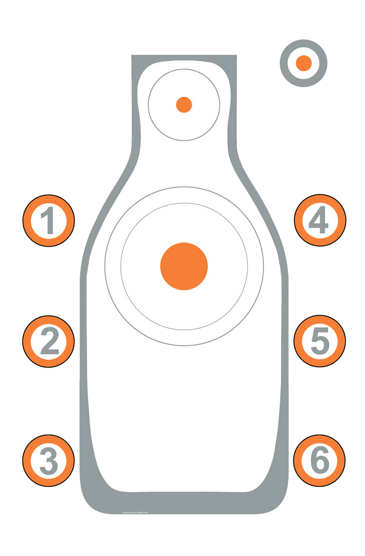 IALEFI-QT Paper Target – Qualification Targets Inc